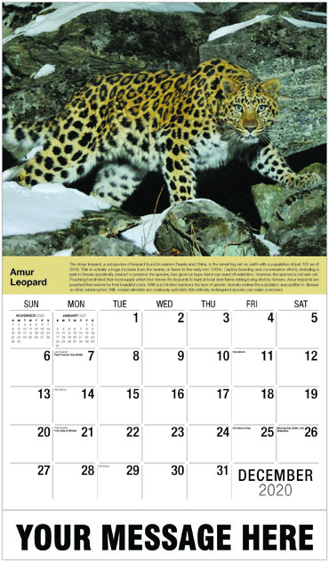 GalleriaCalendars